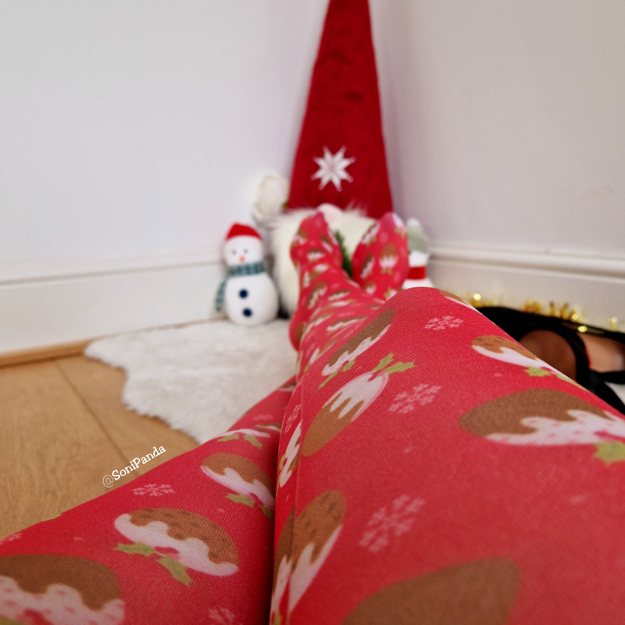 Pamela Mann Christmas Pudding Tights - By Soni Panda x